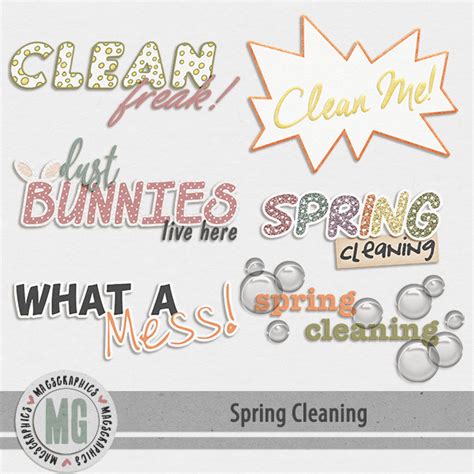 Image result for Squeaky-Clean Word Art