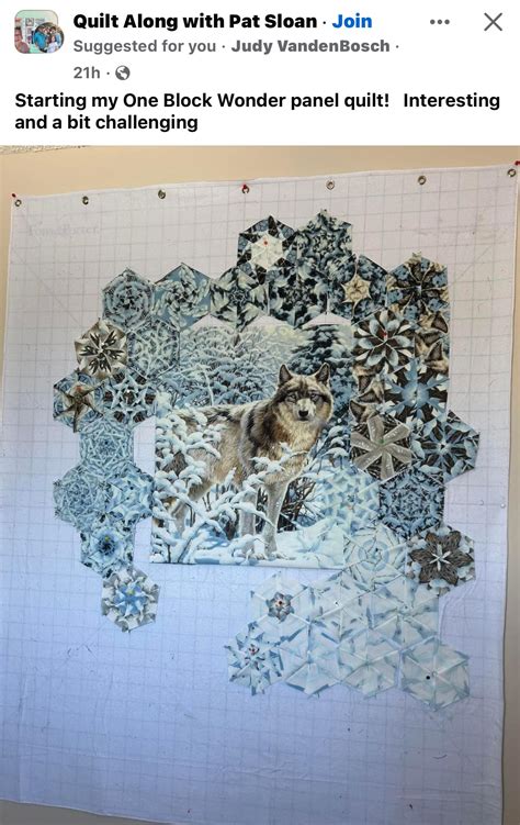 Image result for One Block Wonder Quilt Using Panels