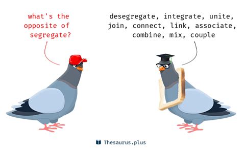 Image result for Segregate Meaning