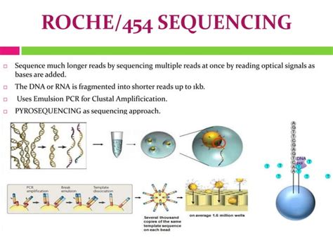 Image result for Next-Generation Sequencing Tutorial