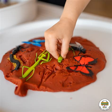 Image result for Insects Lessons