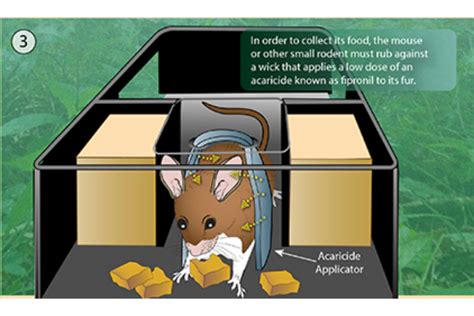 Image result for Tick Control Services Tick Box