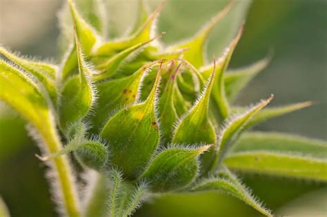 Image result for Color Calibration