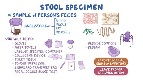 Image result for How to Collect Stool Sample at Home