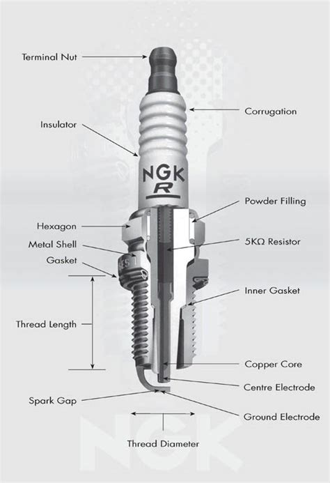 Image result for Spark Plug Connector Types