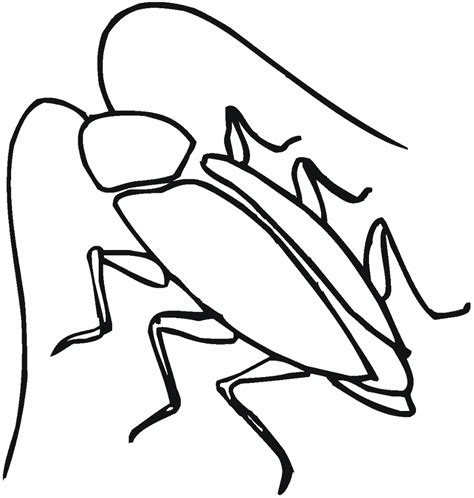 Image result for Cockroach Line Art