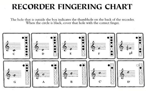 Image result for Recorder Instrument Notes
