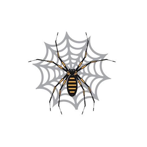Image result for Spider Web Vector
