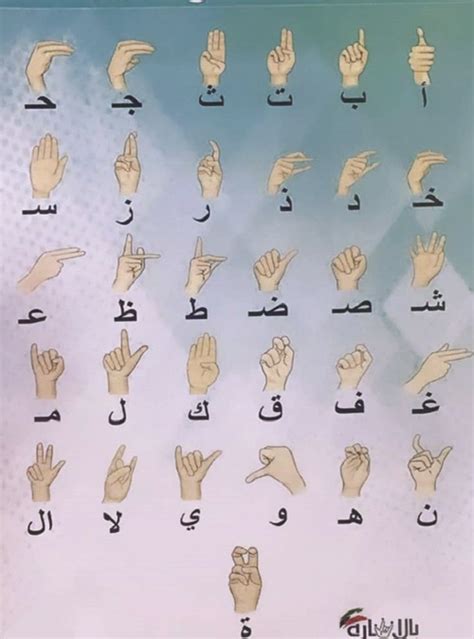 Image result for Lebanese Sign Language