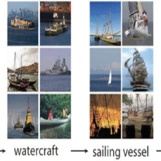 Image result for Image Net Dataset Image Examples