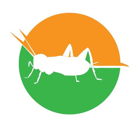 Image result for Cricket Insect Greenscreen