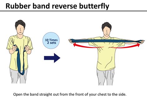 Image result for Trunk Bender Exercise