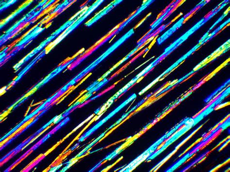 Image result for Crystal Optical Microscope