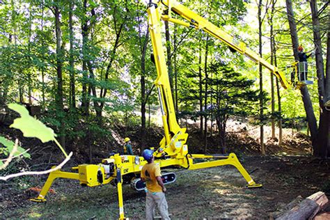 Image result for Lift Machine for Tree