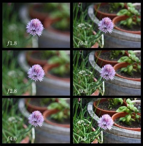 Image result for Understanding ISO Shutter Speed and Aperture