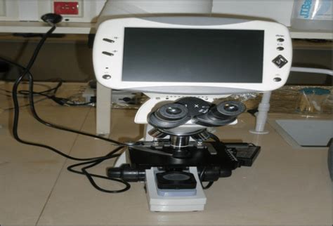 Image result for Polarized Microscope