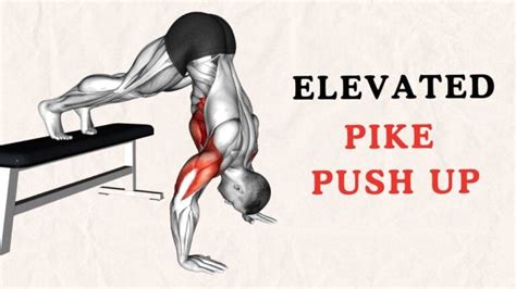 Image result for Pike Push-Up Target Muscles