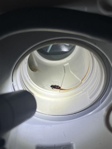 Image result for Where Is GE Washing Machine Filter