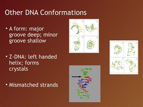 Image result for Nucleic Acid Database