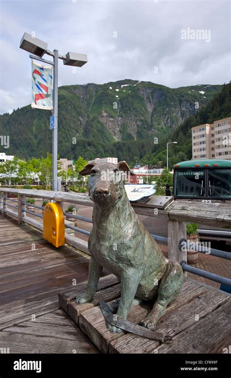 Image result for Patsy Ann