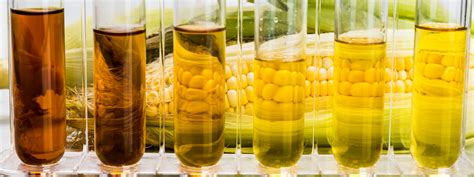 Image result for Biofuel Types