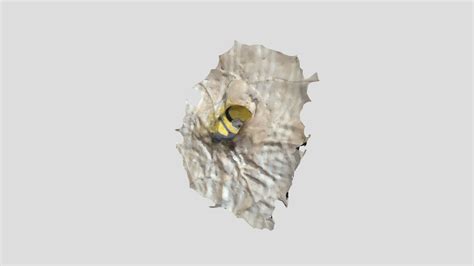 Image result for 3D Textured Mesh