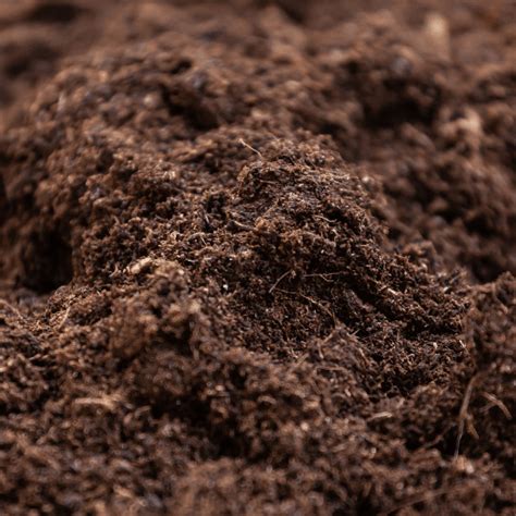 Image result for Soil Contains Humus
