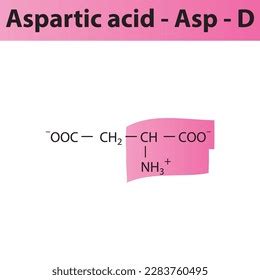 Image result for ASP Structure