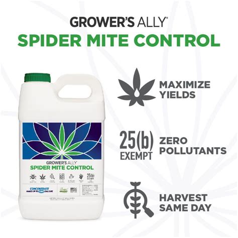 Image result for Spider Mite Control