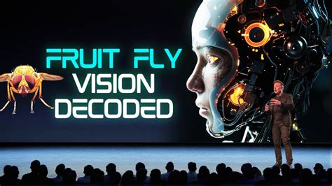 Image result for fly vision evolution