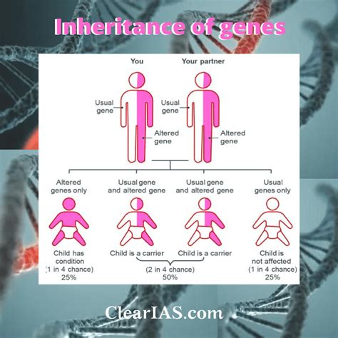 Image result for Three Types of Genetic Disorders