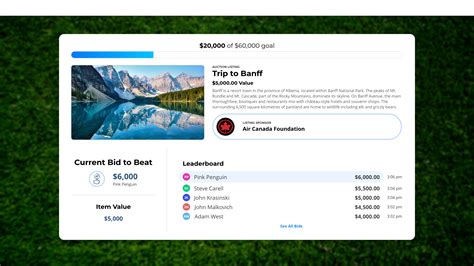 Image result for Live Auction Programs