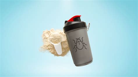 Image result for Insect Based Protein