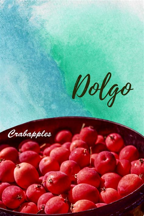 Image result for Self-Pollinating Apple Tree