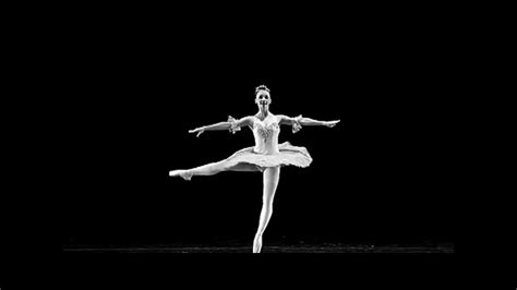 Image result for Vivaldi's Spring First Movement