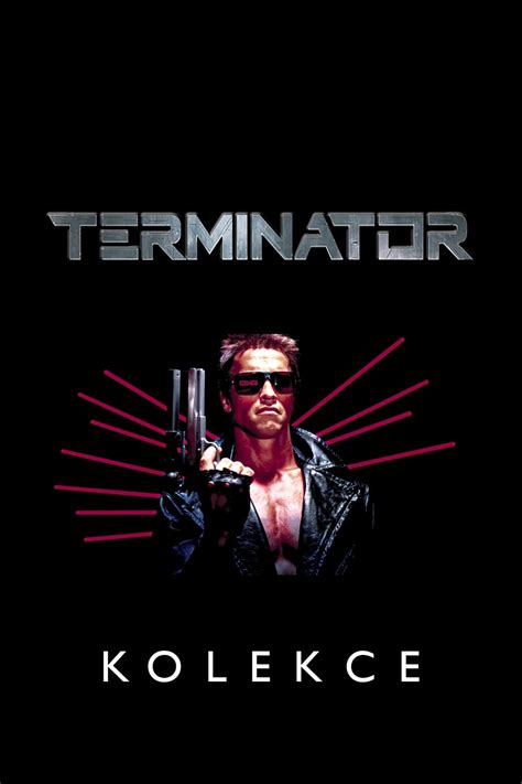 Image result for Terminator Movie Collection