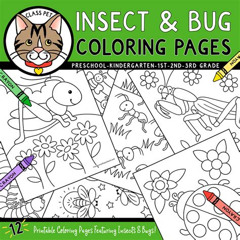 Image result for Insects Coloring Pages