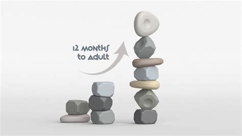 Image result for Stack Master Commercial 2021