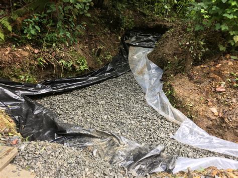 Image result for Spring Head Collection System