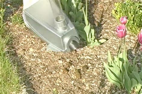 Image result for Using a Vacuum Cup to Poop