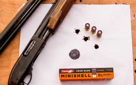 Image result for Small Shotgun Shells