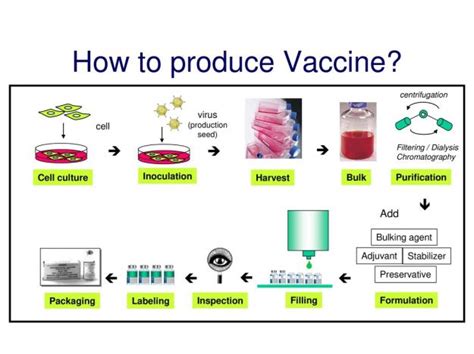 Image result for Creating Vaccines