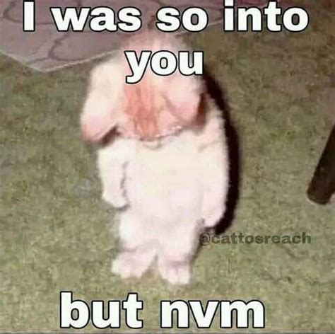 Image result for Bottom Subliminal