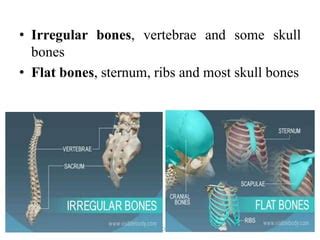 Image result for Types of Abnormal Bone Formation