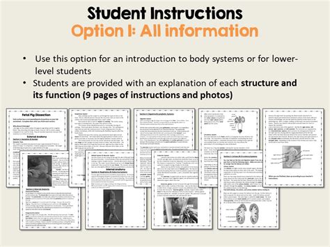 Image result for Fetal Pig Dissection Tutorial