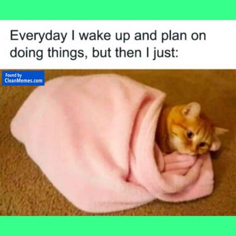 Image result for Run Memes Clean