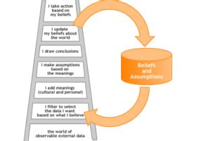 Image result for Ladder of Inference Autism