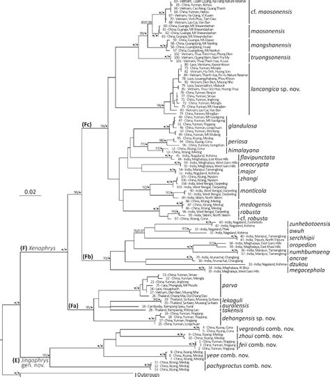 Image result for AronRa Systematic Classification System