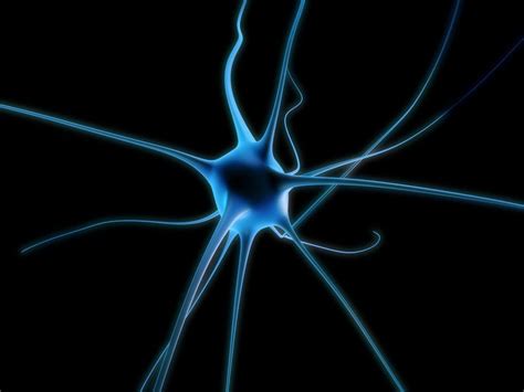 Image result for Linear Perceptron