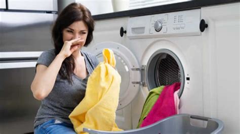 Image result for Washing Machine Having Bad Smell